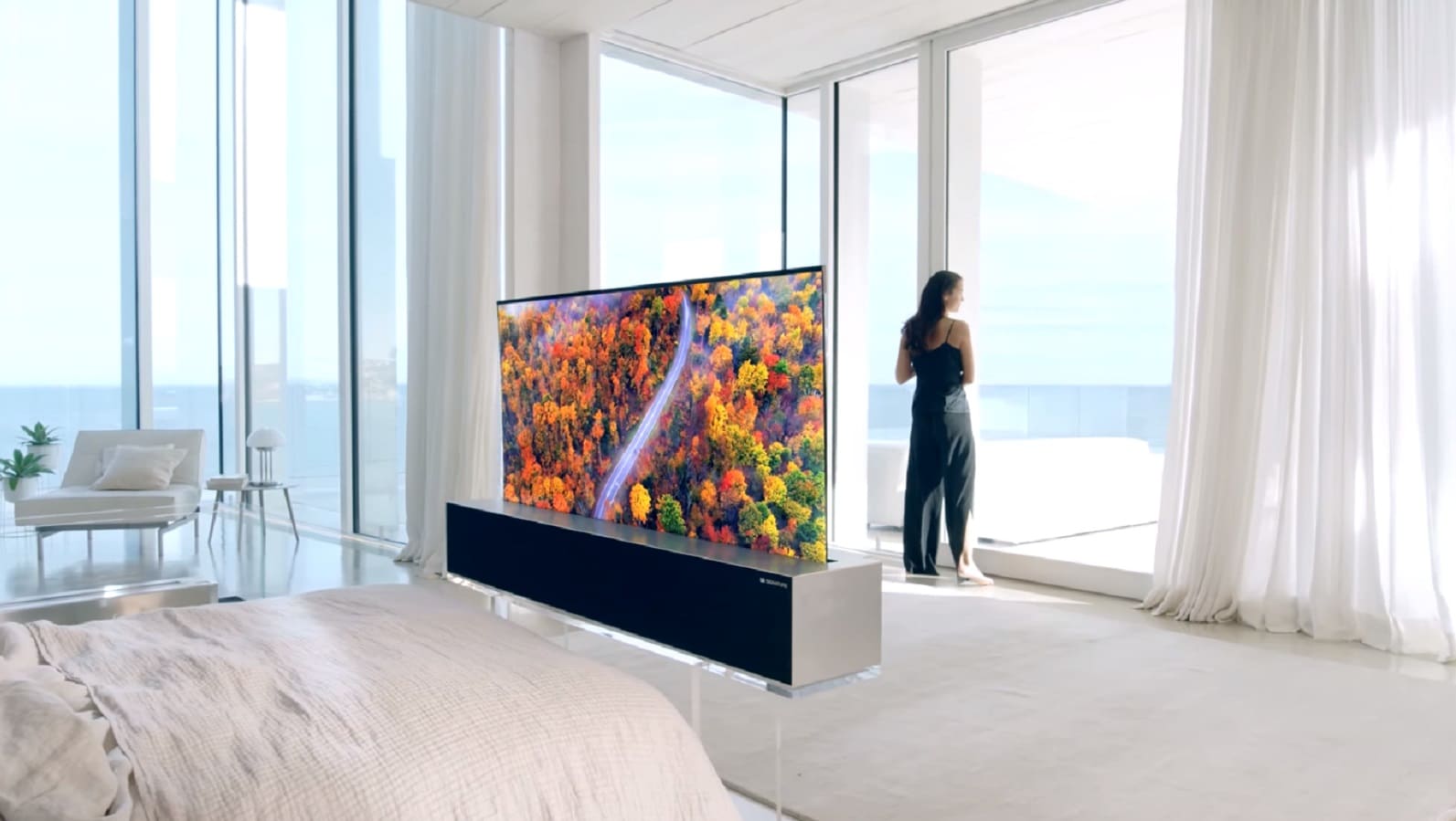 LG presenta la primera TV plegable del mundo - InformáticoAlRescate